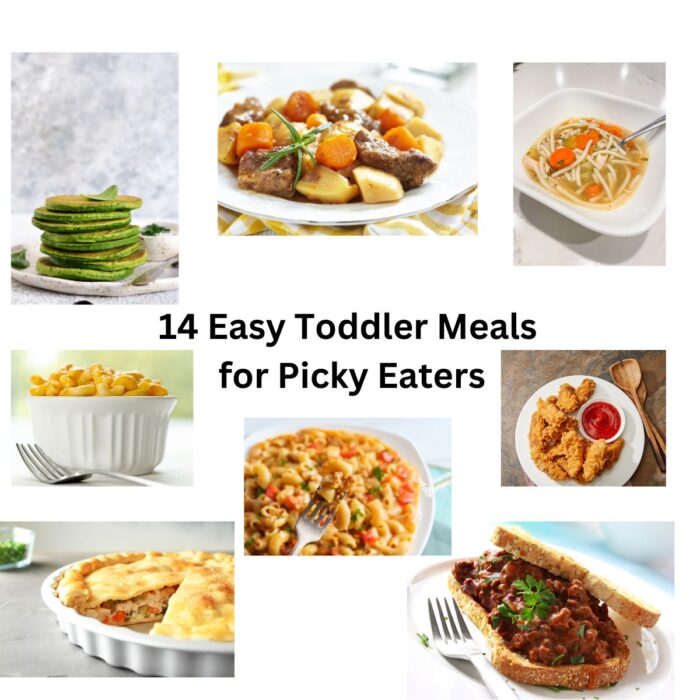 14 Easy Toddler Meals for Picky Eaters - Wholesome Family Roots